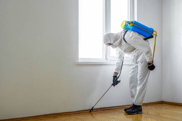 La Cygne, KS Yard Spray, Roach Bait & Pest Control | Call (833) 466-0206